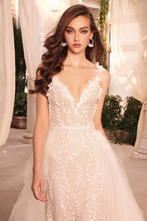 Aksha – Chic Nostalgia